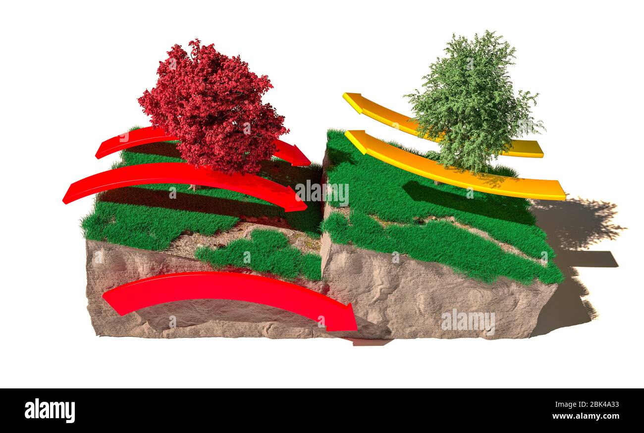 Transform Fault Fence