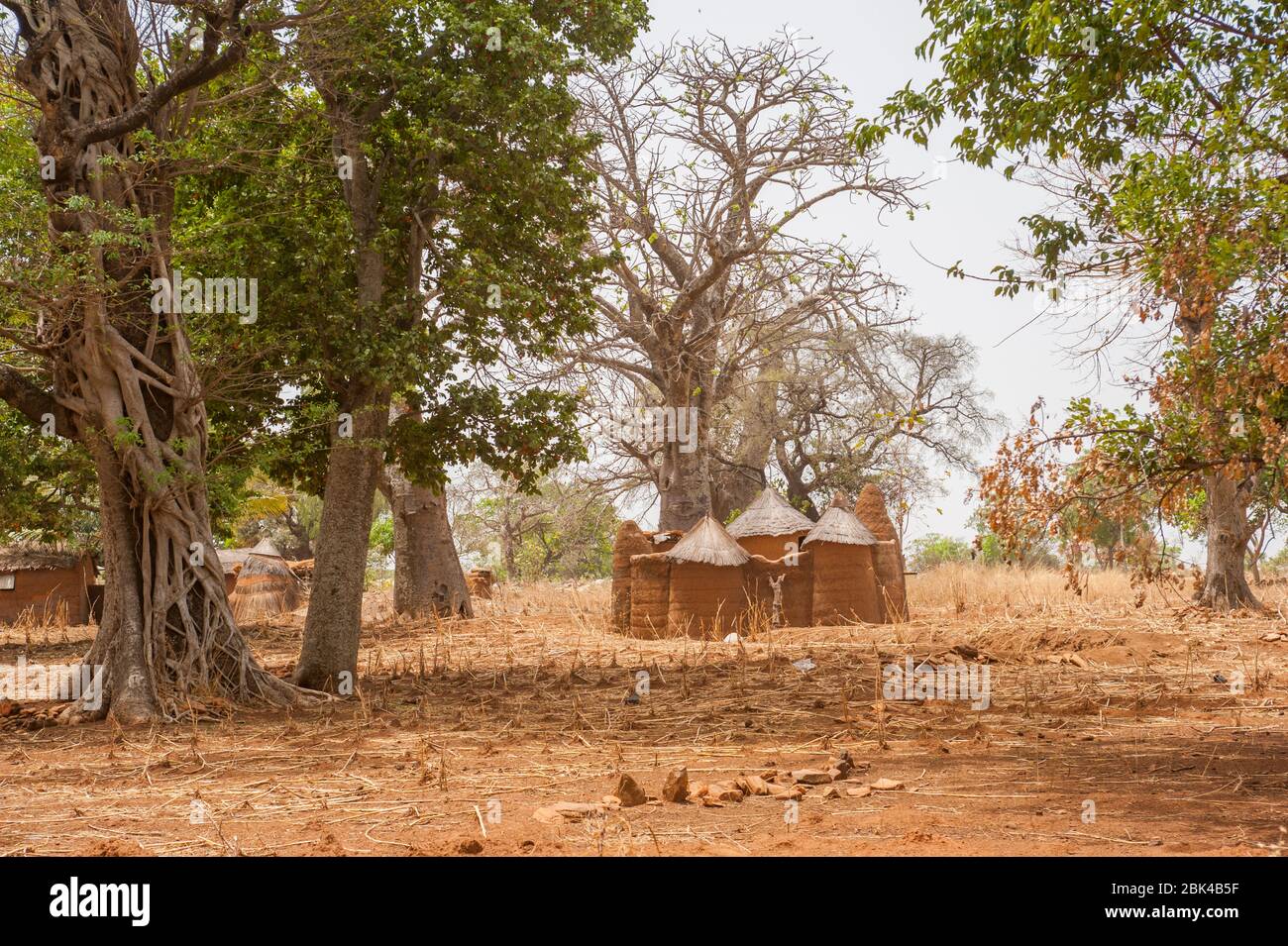 A traditional mudbrick building called Tata or Tata Somba of the Somba ...