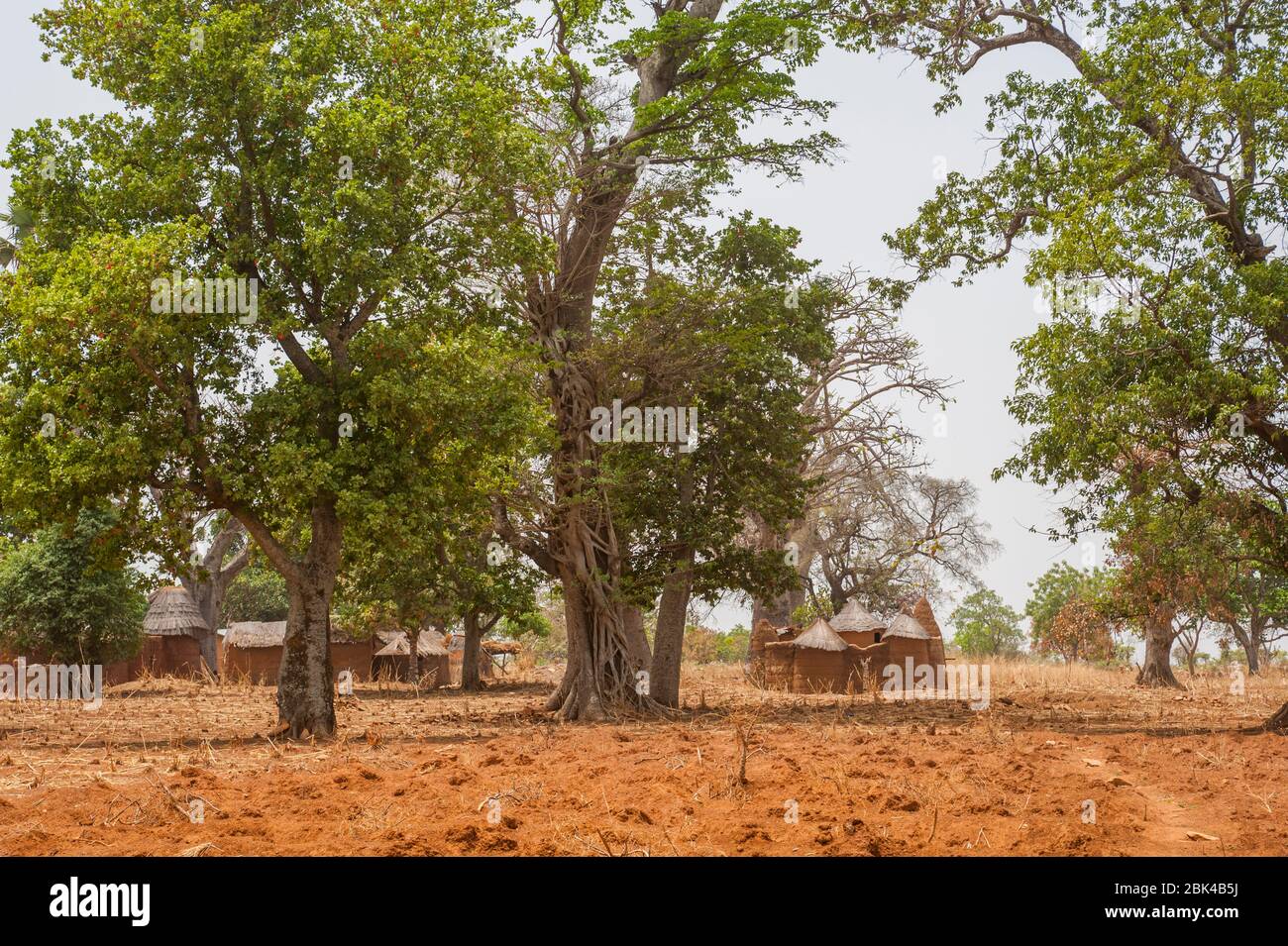 A traditional mudbrick building called Tata or Tata Somba of the Somba ...