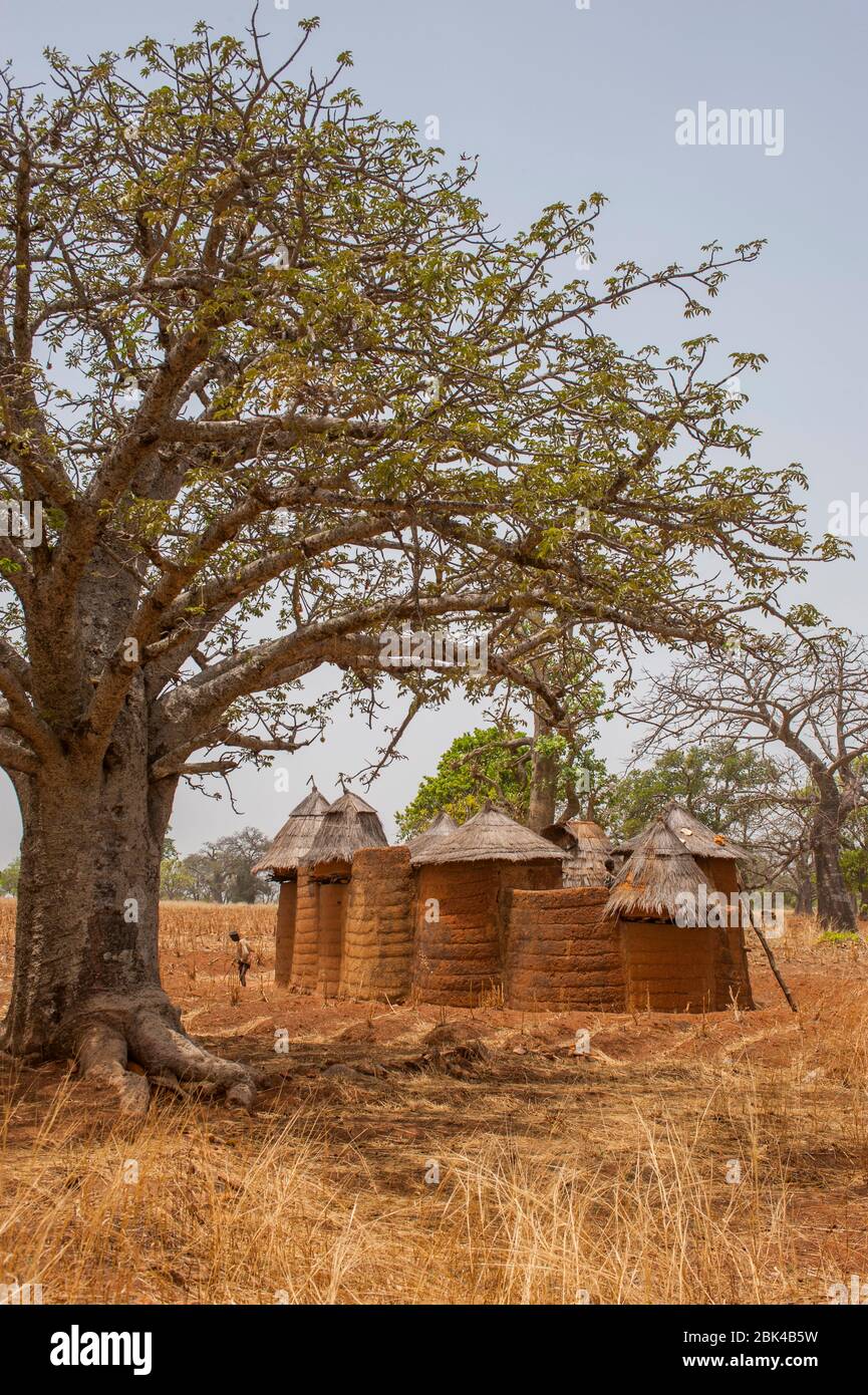 A traditional mudbrick building called Tata or Tata Somba of the Somba ...