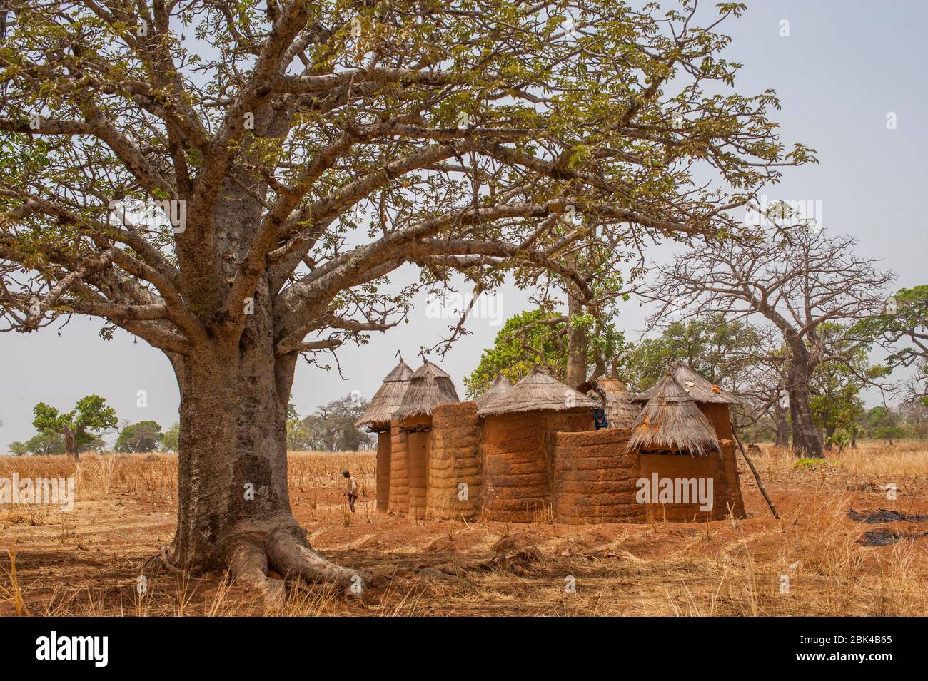 Somba people hi-res stock photography and images - Alamy
