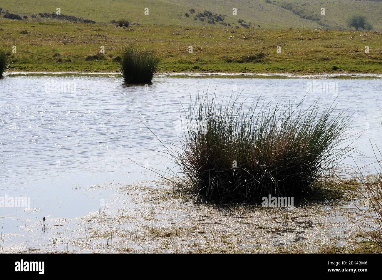 Large roundabout hi-res stock photography and images - Alamy