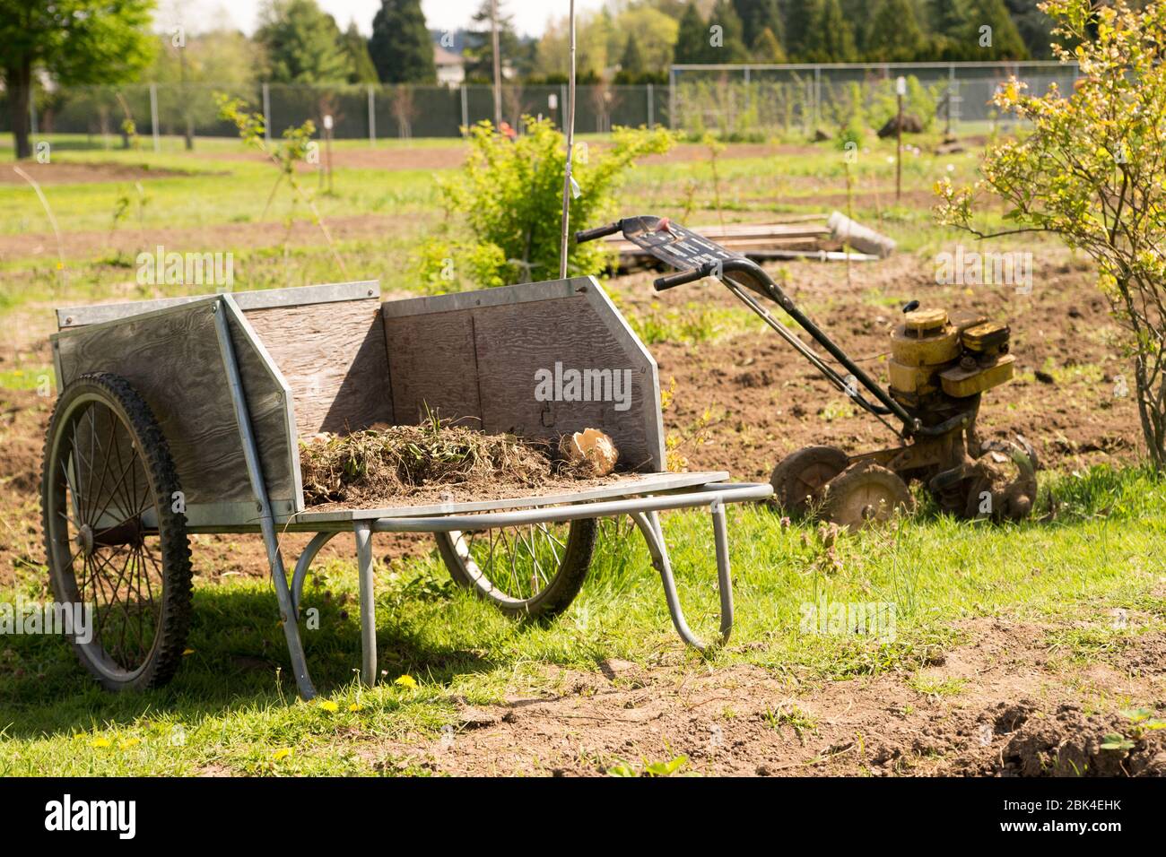 Wheelbarrow vegetable garden gardening hi-res stock photography and ...