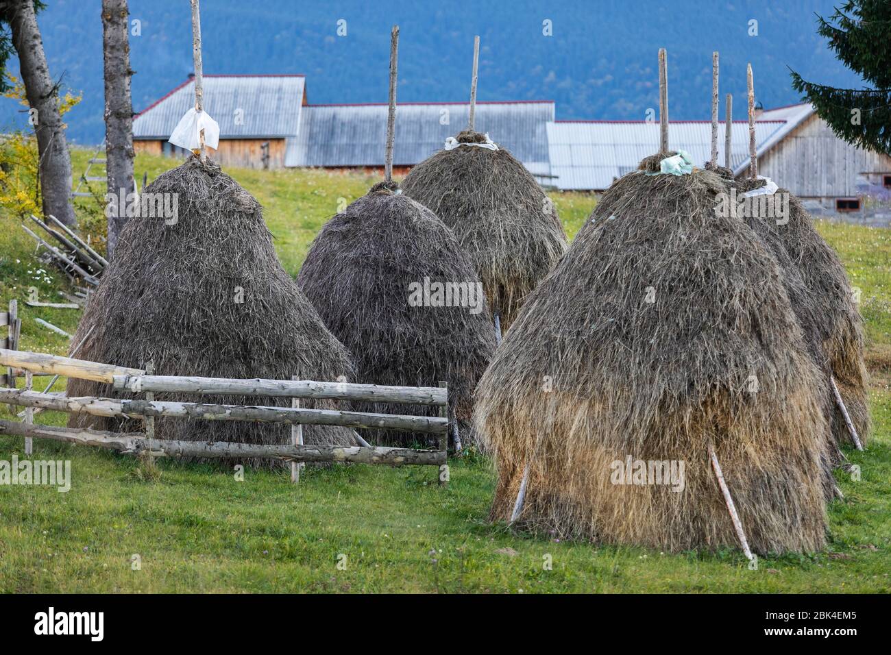 Haystack Haystacks Romania Romanian High Resolution Stock Photography ...