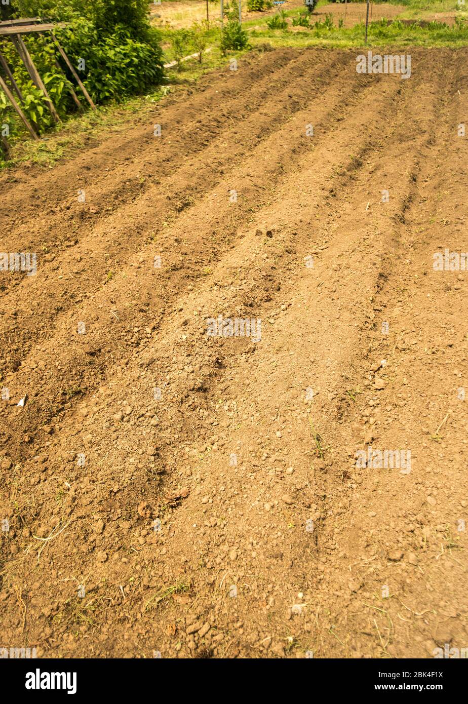 Cultivation bed hi-res stock photography and images - Alamy