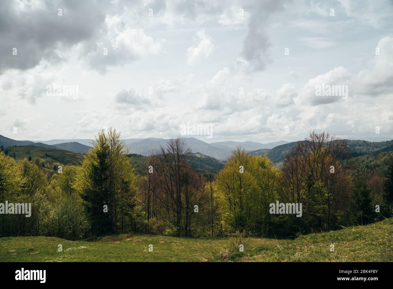 Spring in mountains. Beautiful mountain landscape, deciduous forest and ...