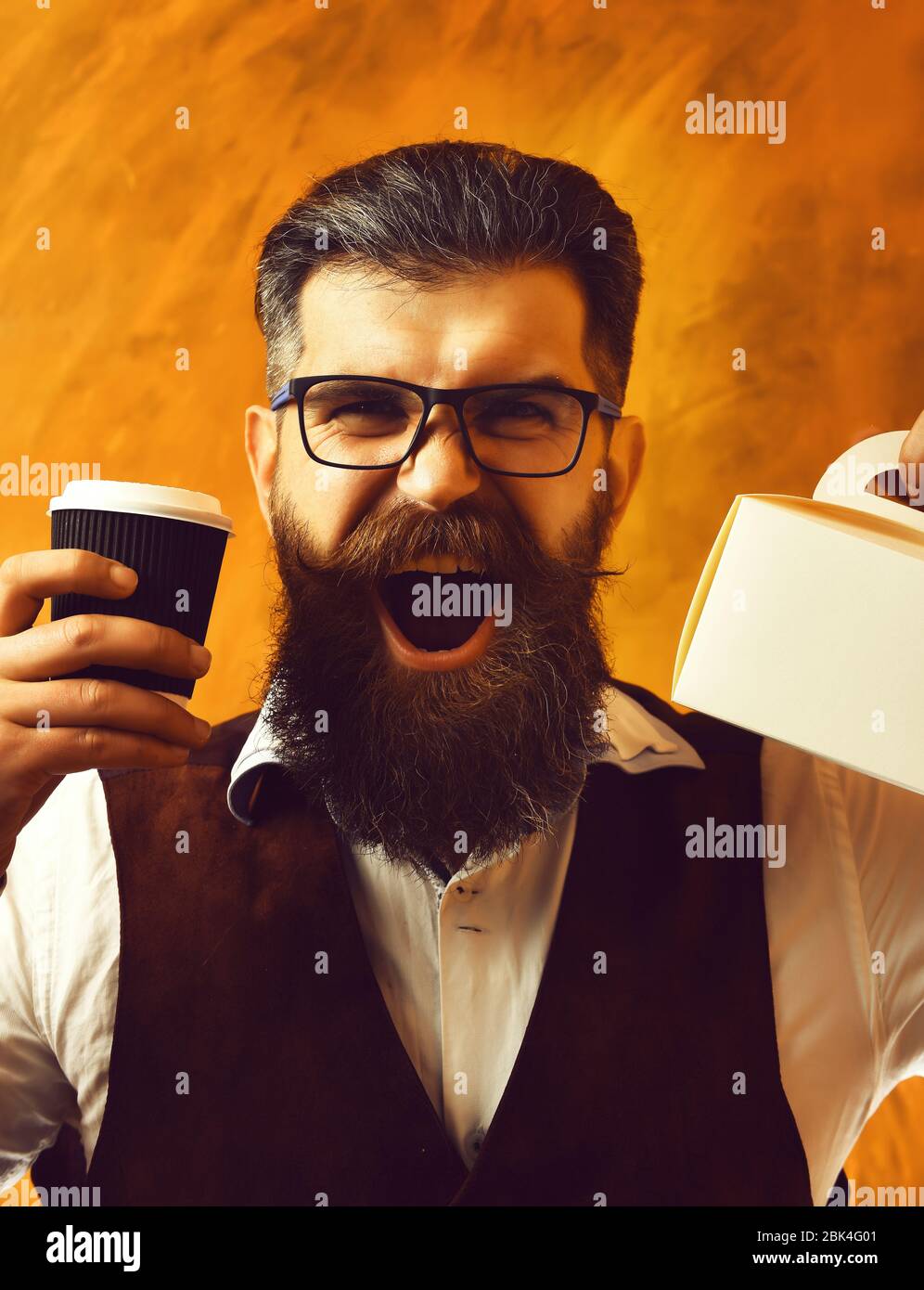Bearded man, long beard. Brutal caucasian unshaven angry hipster with ...