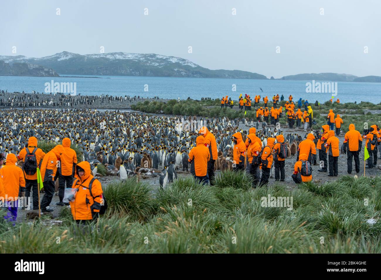 Antarctica penguin ship tourism hi-res stock photography and images - Alamy