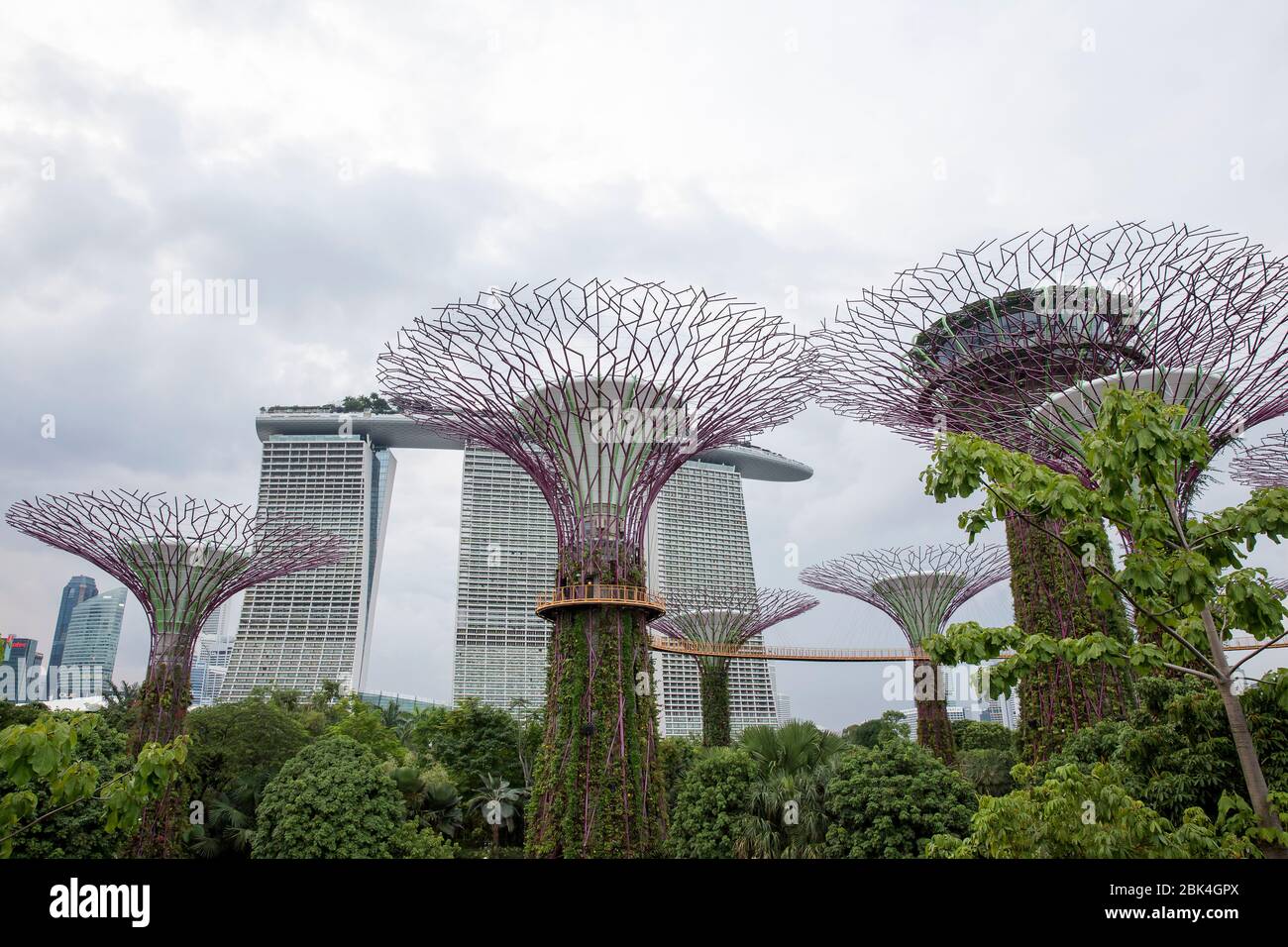 Supertree Grove at Gardens by the Bay in Singapore Stock Photo - Alamy