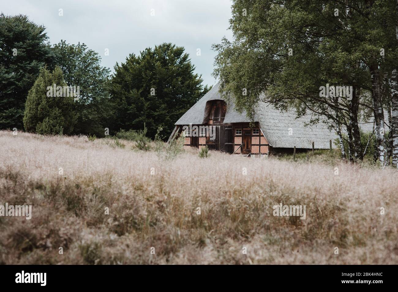 a country house in the middle of nowhere Stock Photo - Alamy