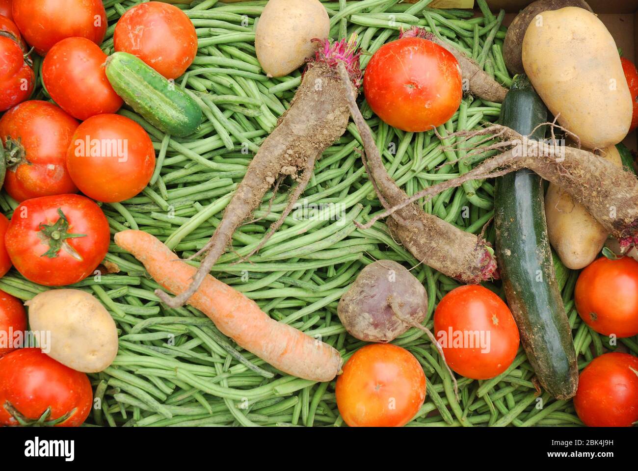 organic vegetable selection with carot, green beans, potatos, tomatoe ...