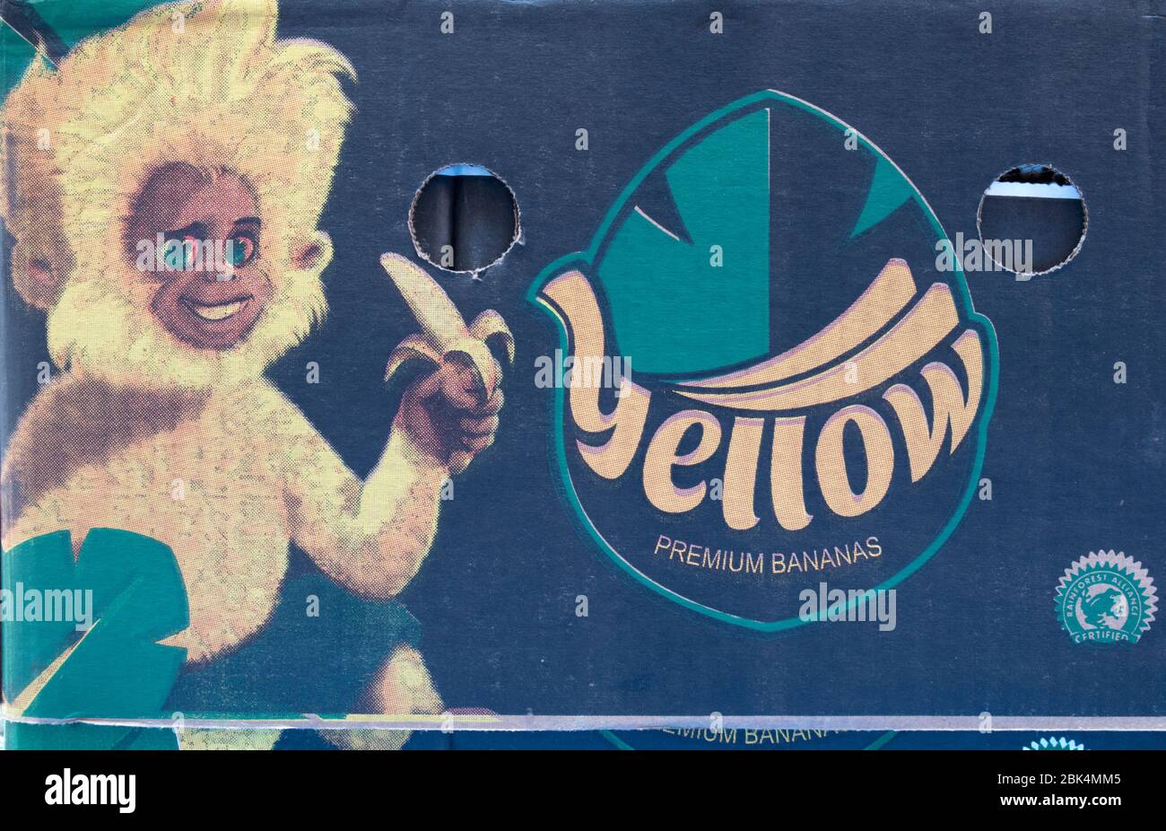 Yellow Premium Bananas fruit box design Italy seen in a bric a brac ...