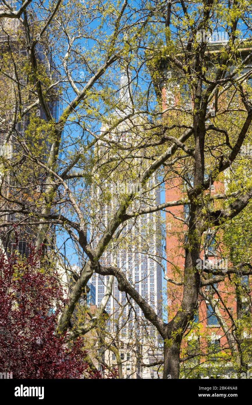 Madison Square Park in Springtime, NYC, USA Stock Photo - Alamy