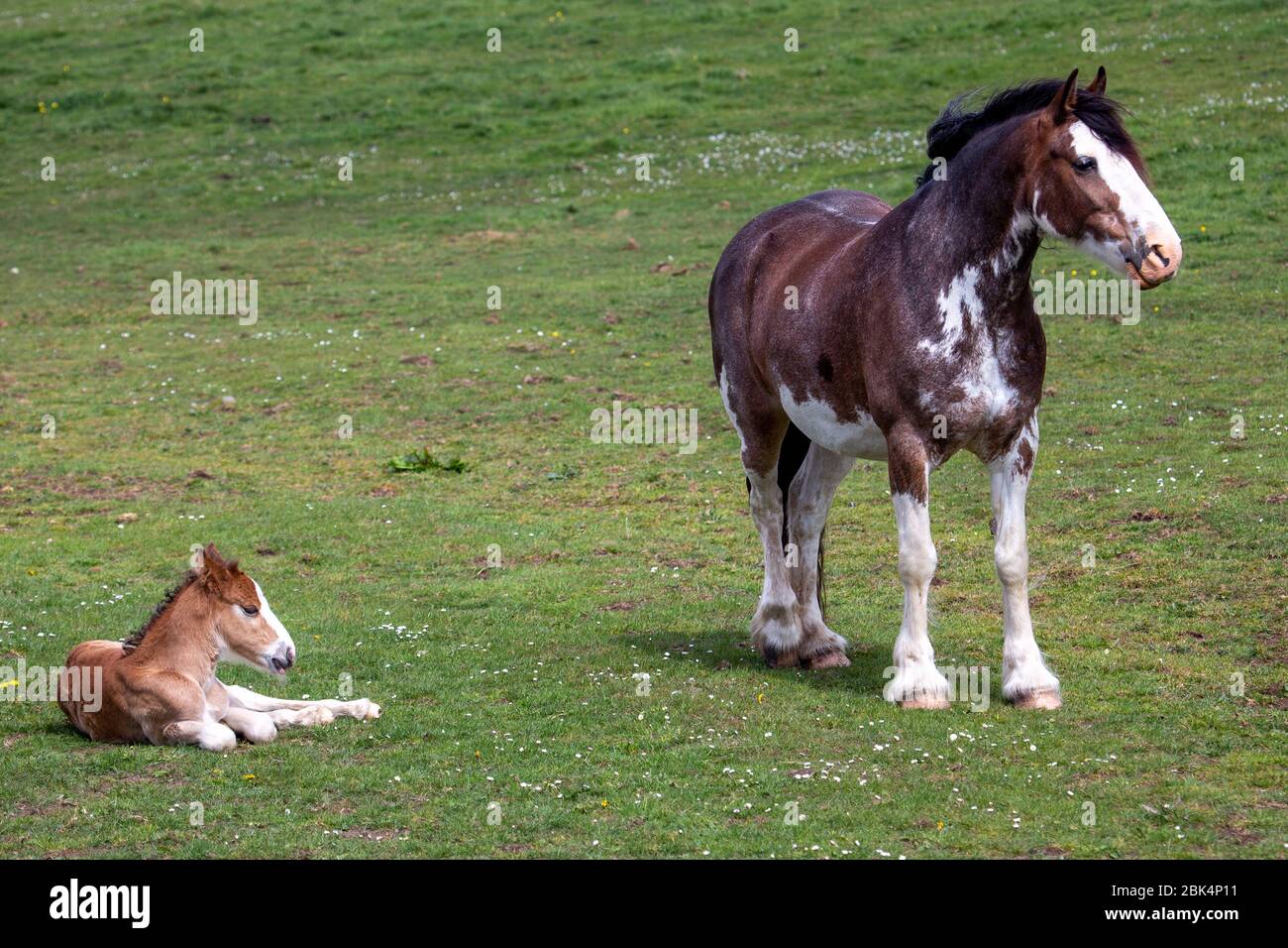 Fould weather hi-res stock photography and images - Alamy