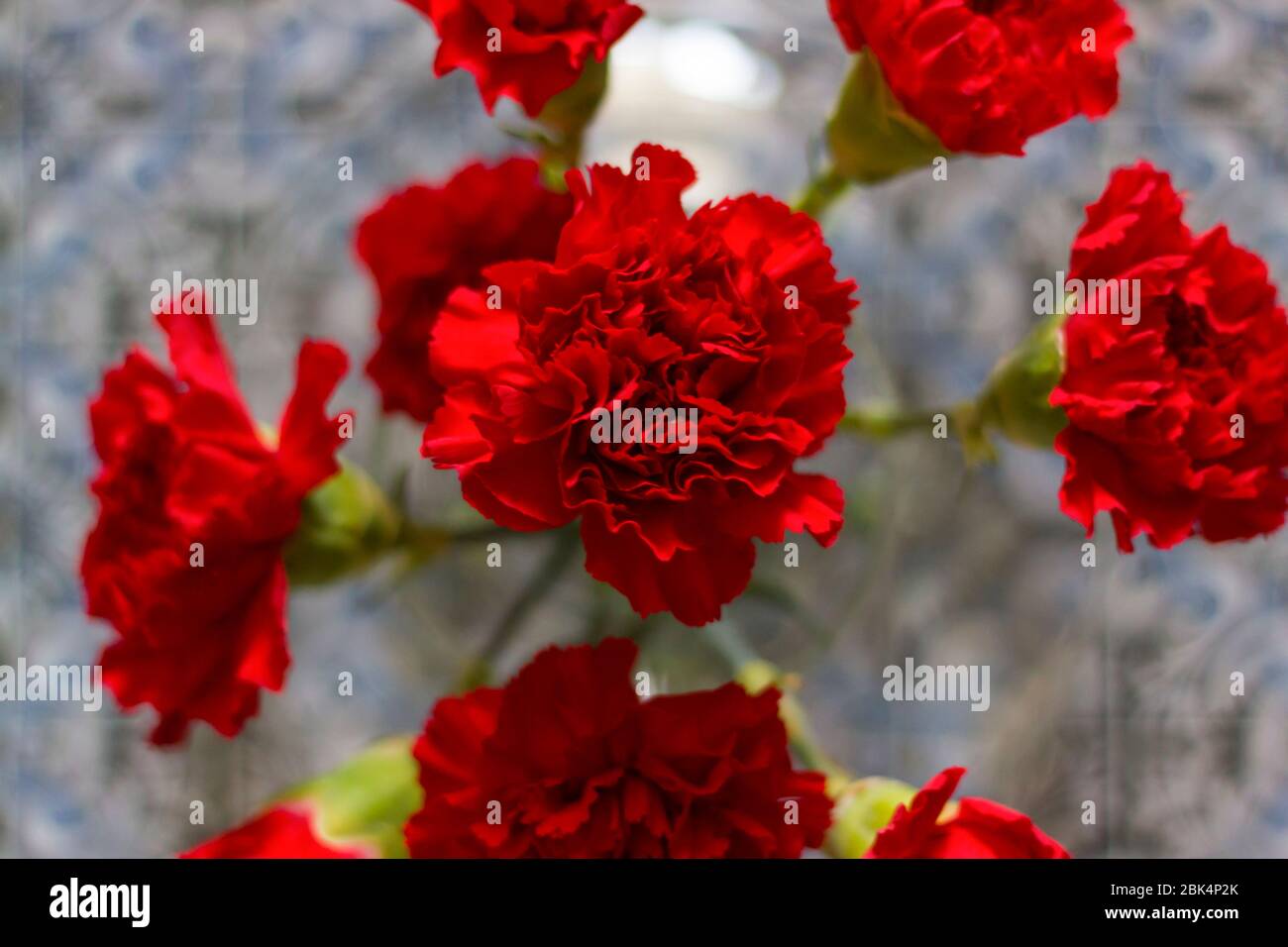 Carnation revolution abril 1974 hi-res stock photography and images - Alamy