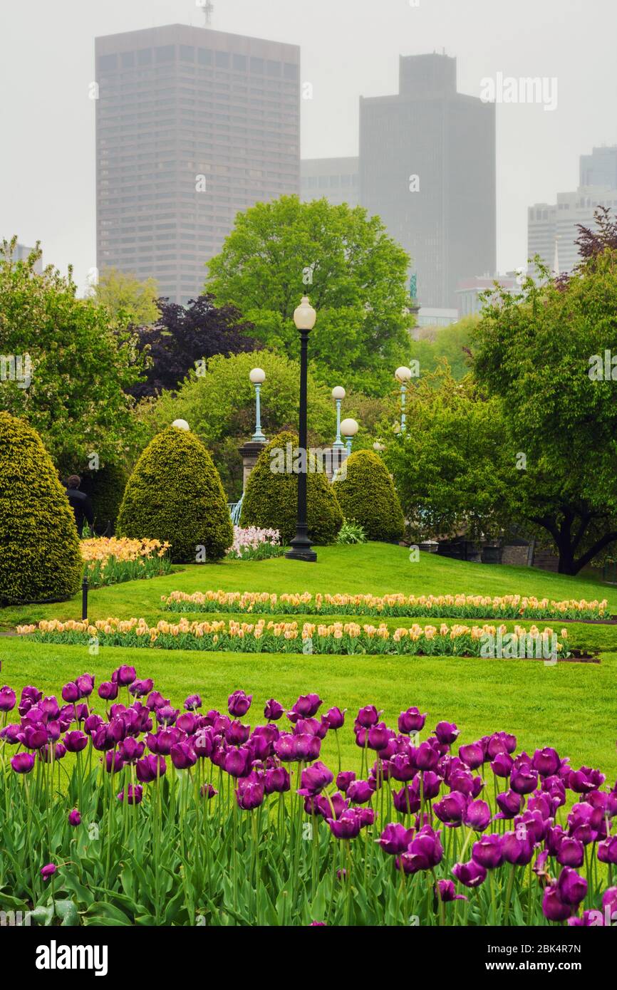 Back bay and public garden hi-res stock photography and images - Alamy