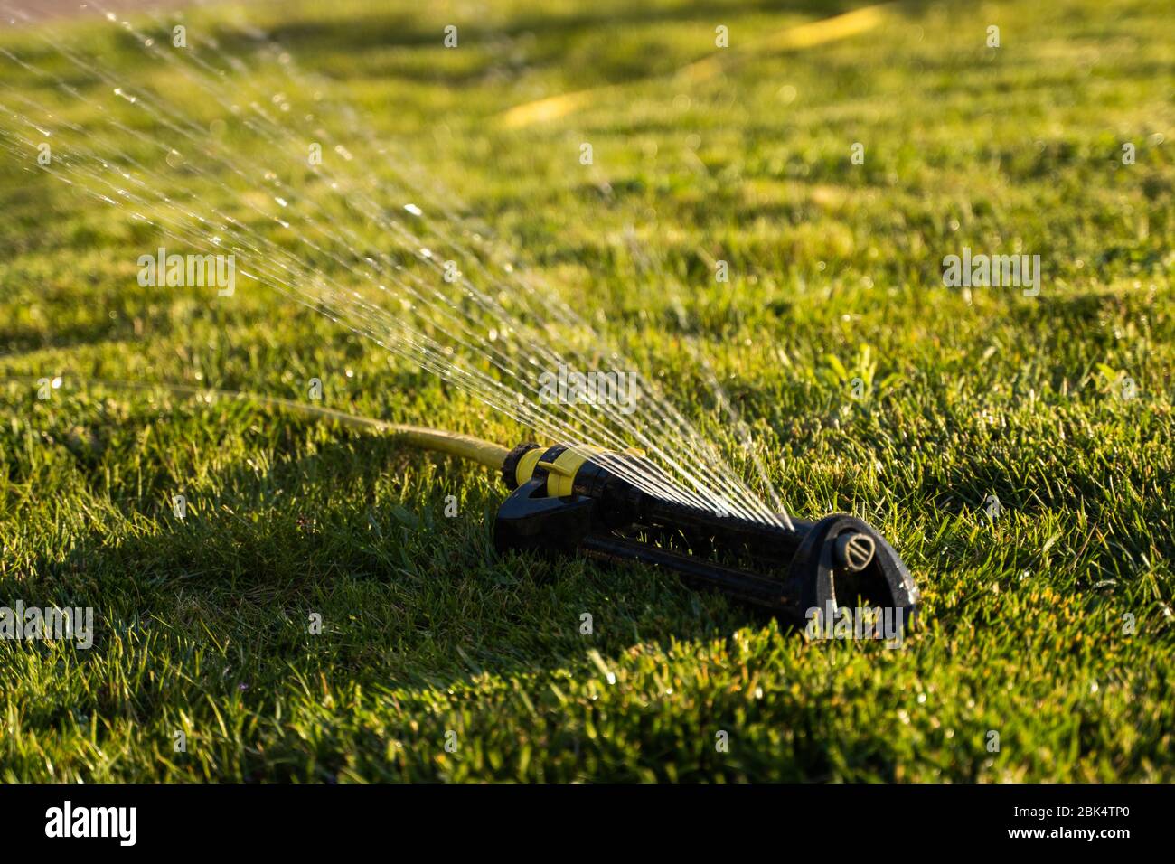 Lawn sprinkler spraying water over green grass. Modern device of ...