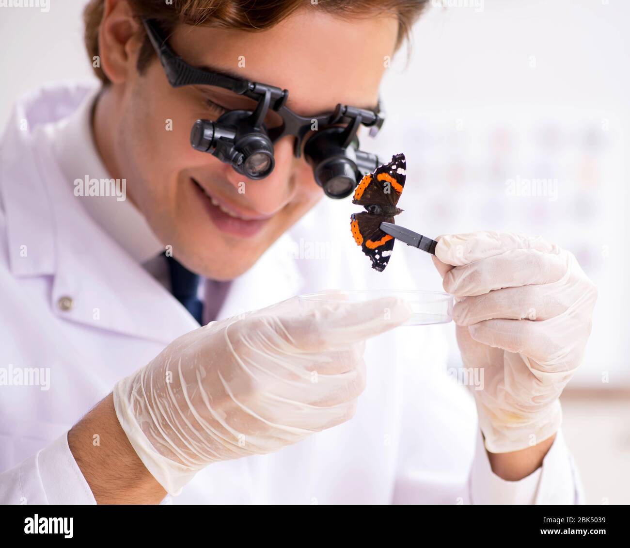 Medical entomologist hi-res stock photography and images - Alamy