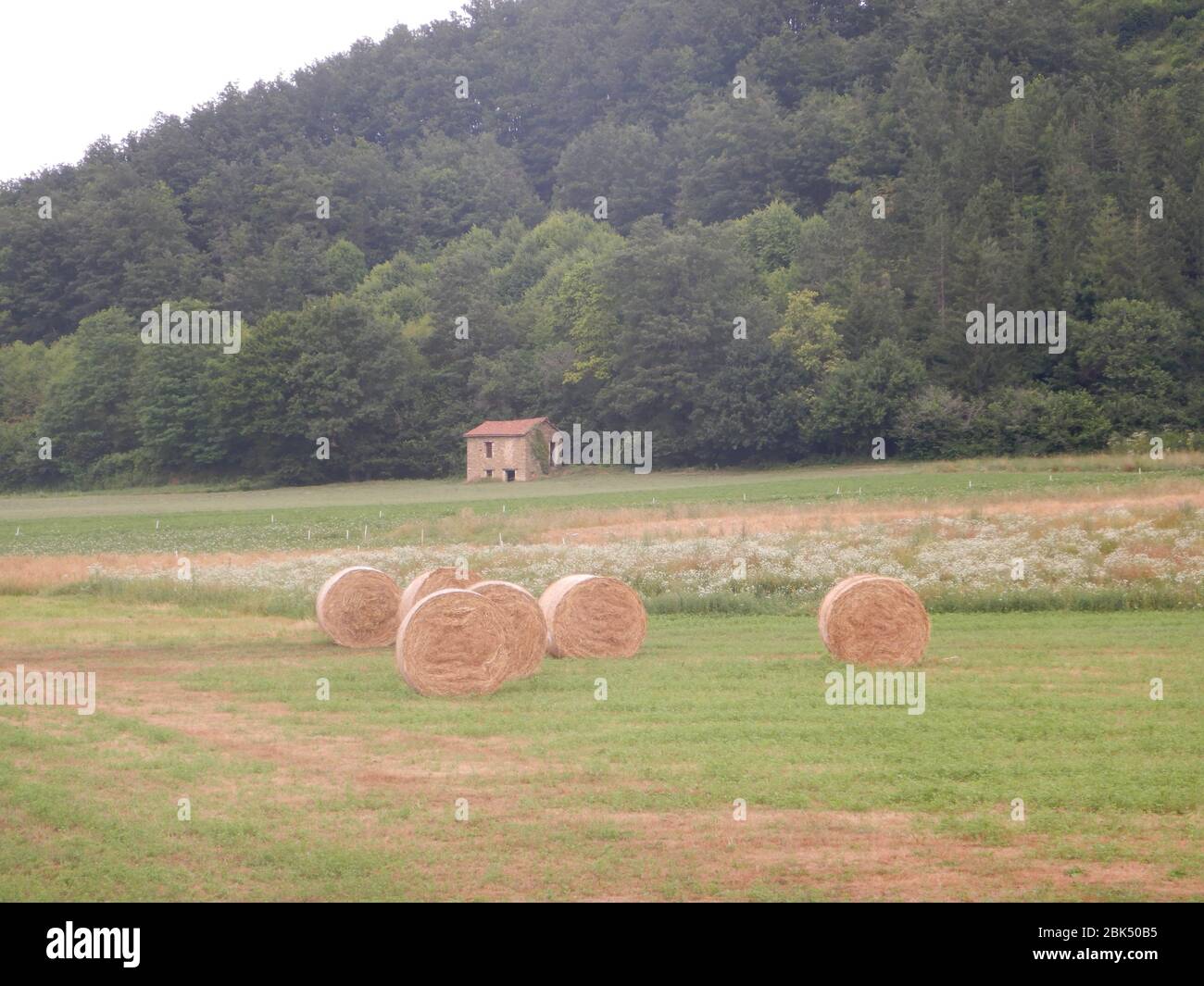 Country landscape with hay bales Stock Photo - Alamy