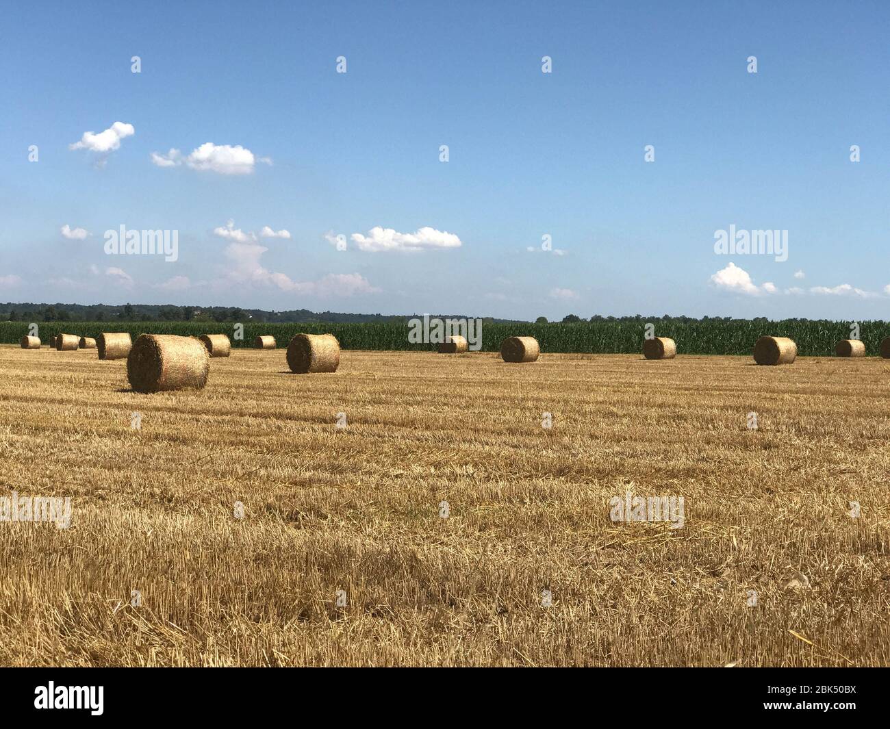 Country landscape with hay bales Stock Photo - Alamy