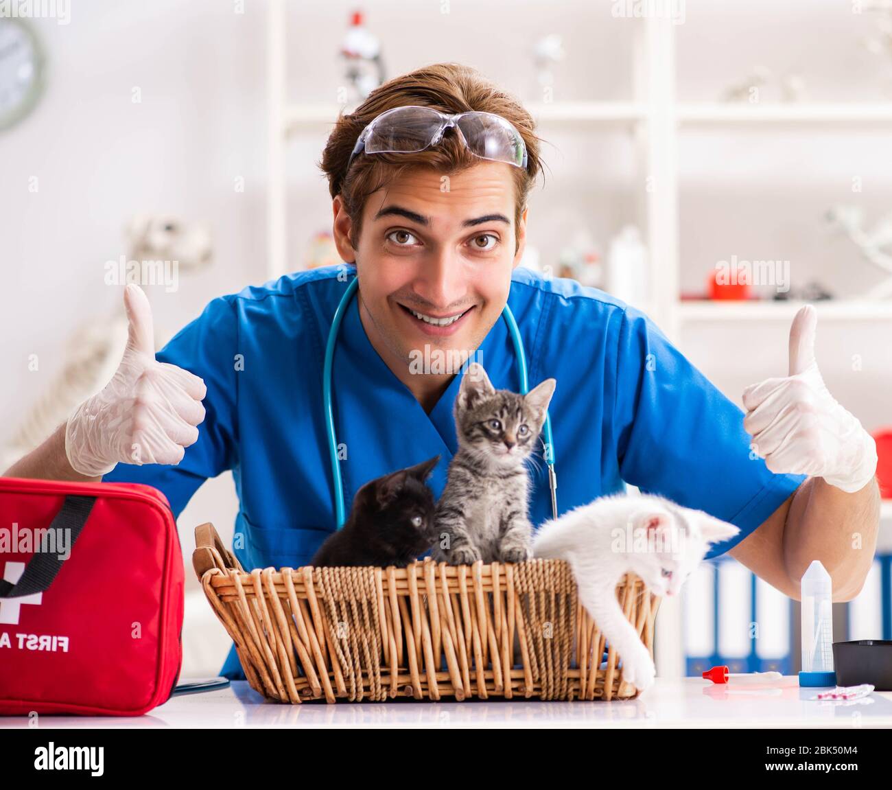The vet doctor examining kittens in animal hospital Stock Photo - Alamy