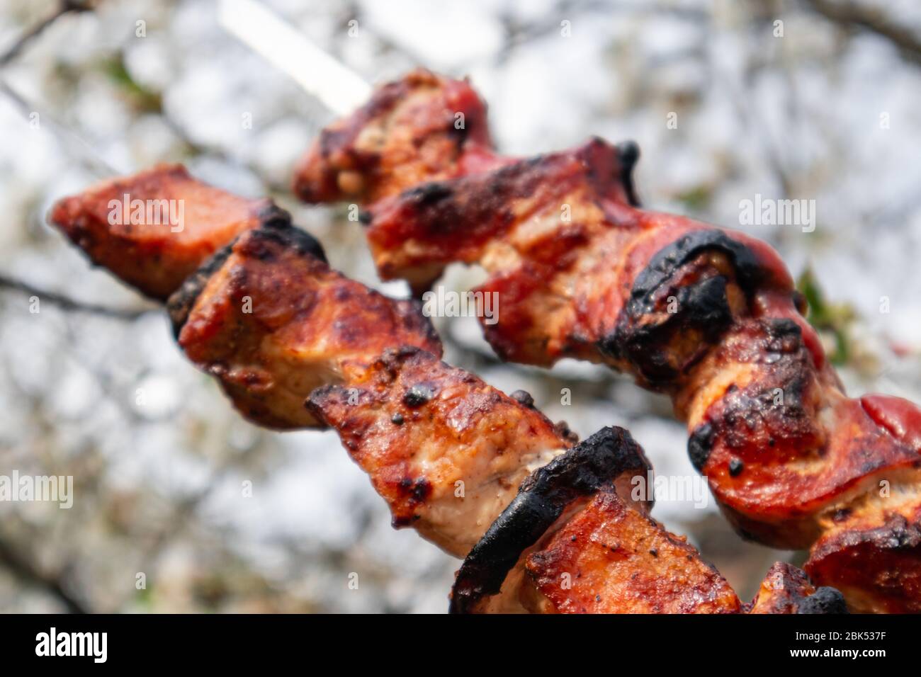 Juicy roasted shashlik (meat kebab) grill with tomato sauce ketchup ...