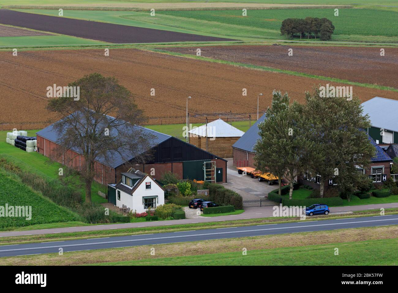 Farm near Assendelft, North Holland, Netherlands, Europe Stock Photo ...