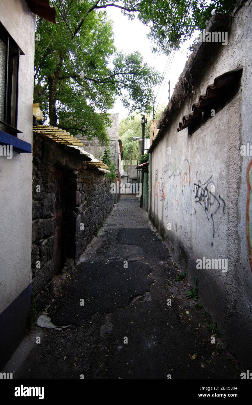 Mexico City, Mexico - 2019: The Callejon del Agacate (Avocado Alley) is ...