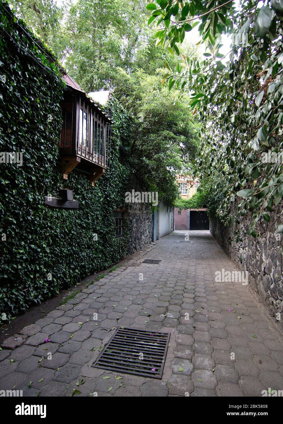 Mexico City, Mexico - 2019: The Callejon del Agacate (Avocado Alley) is ...