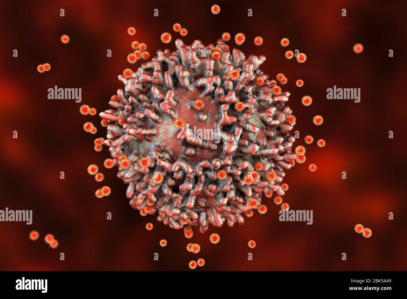 Sars cov 2 nucleocapsid protein antigen hi-res stock photography and ...