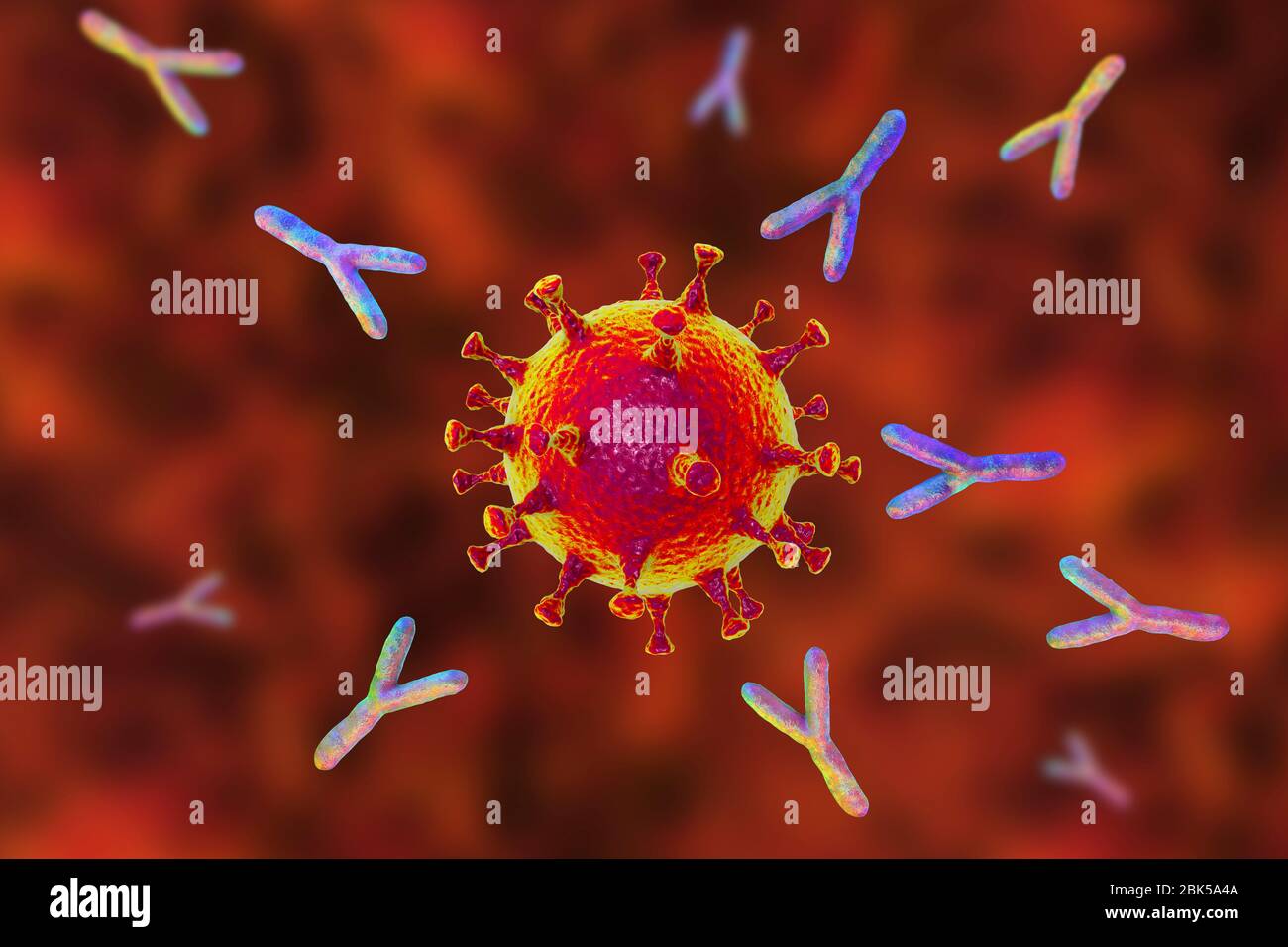 Y syndrome hi-res stock photography and images - Alamy