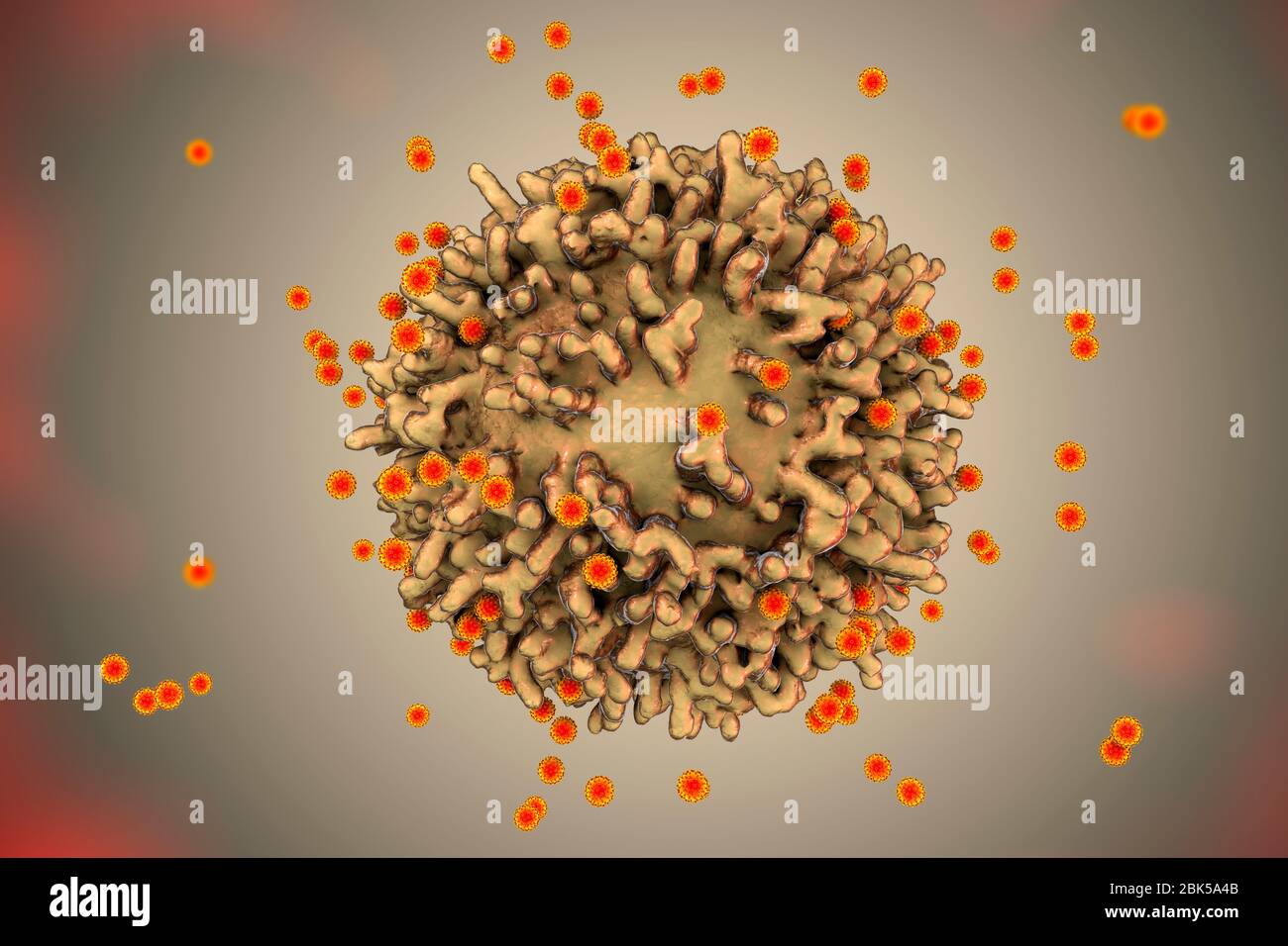 Immune cell hi-res stock photography and images - Alamy