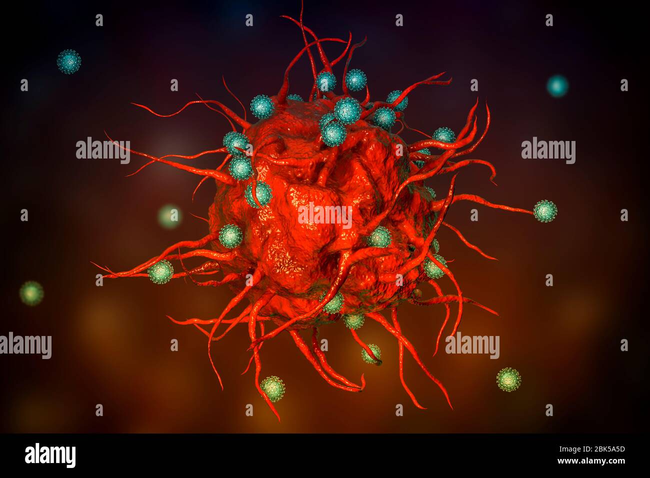 Immune cell hi-res stock photography and images - Alamy