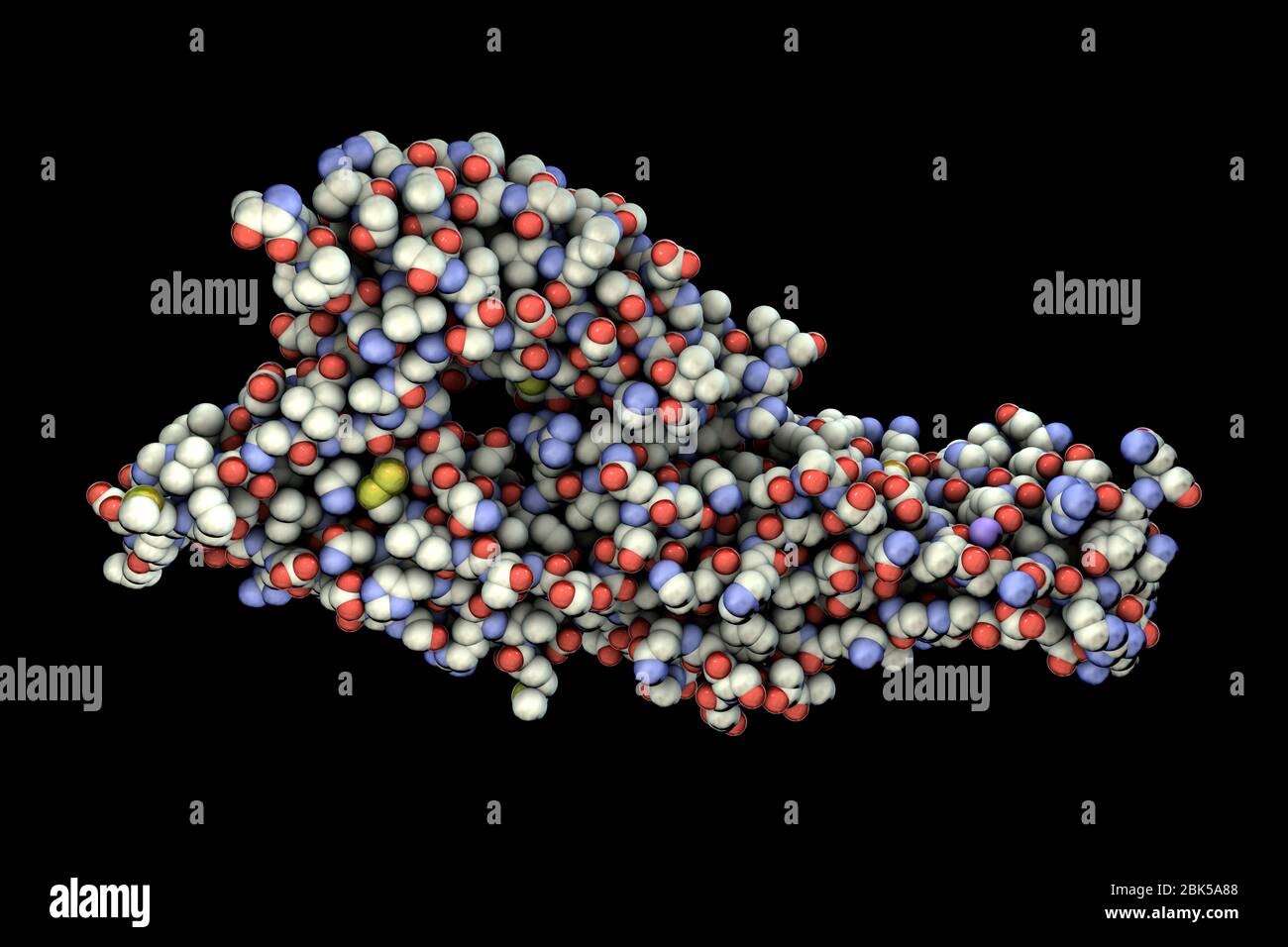 Hantavirus glycoprotein gc hi-res stock photography and images - Alamy