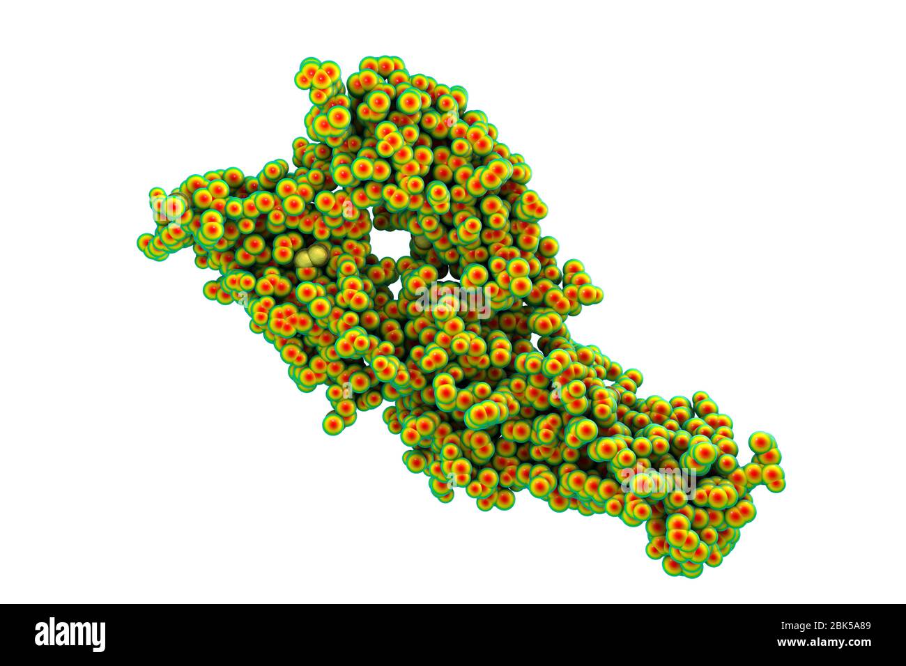 Asymmetric membrane hi-res stock photography and images - Alamy