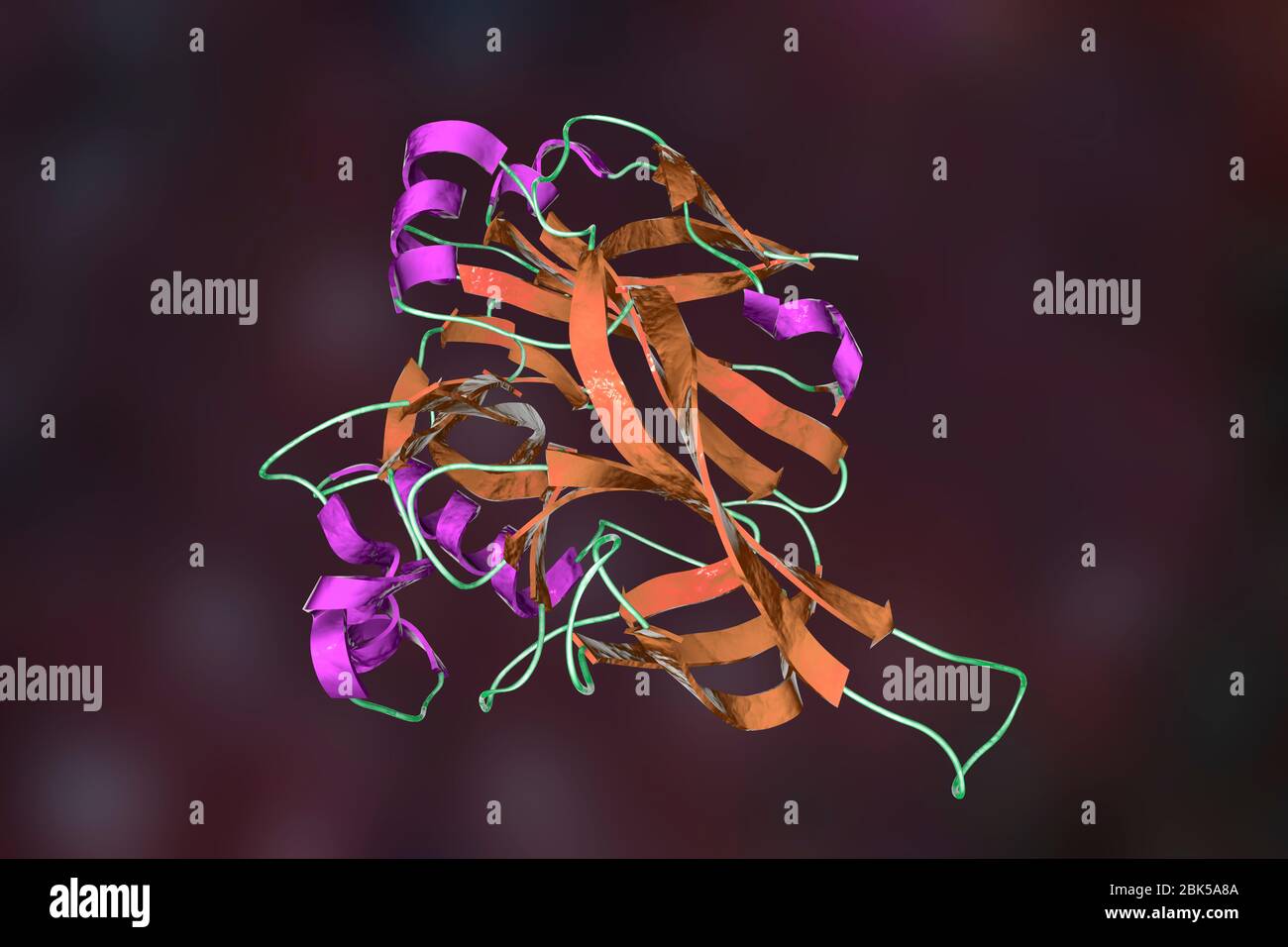 Glycoprotein Molecule