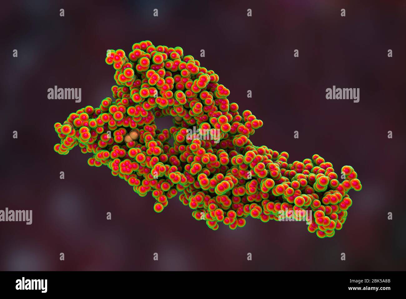 Glycoprotein hi-res stock photography and images - Alamy