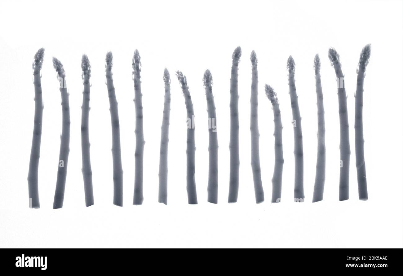 With row Cut Out Stock Images & Pictures - Alamy