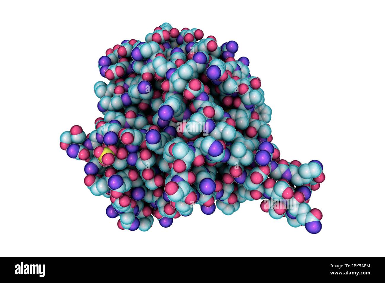 Hantavirus (Hantaan virus) envelope glycoprotein Gn, asymmetric unit ...