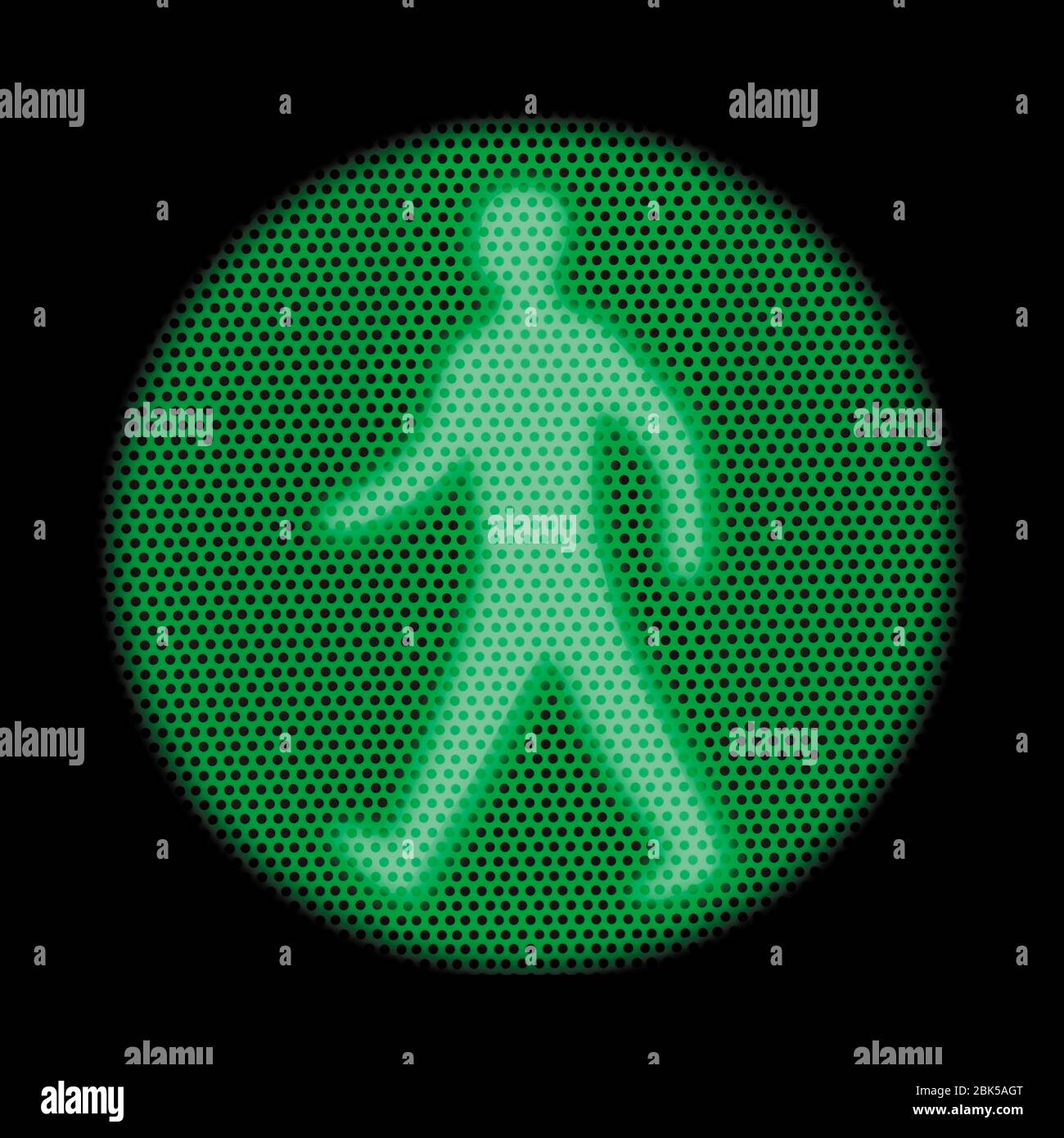 Traffic light lights no hi-res stock photography and images - Alamy