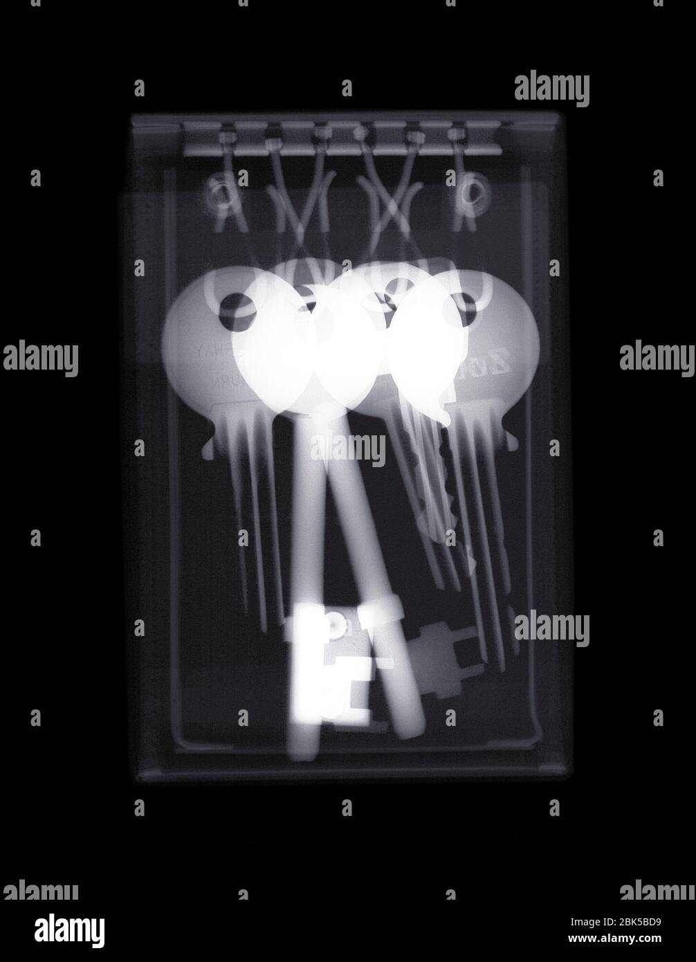 Set of keys in a wallet, X-ray Stock Photo - Alamy