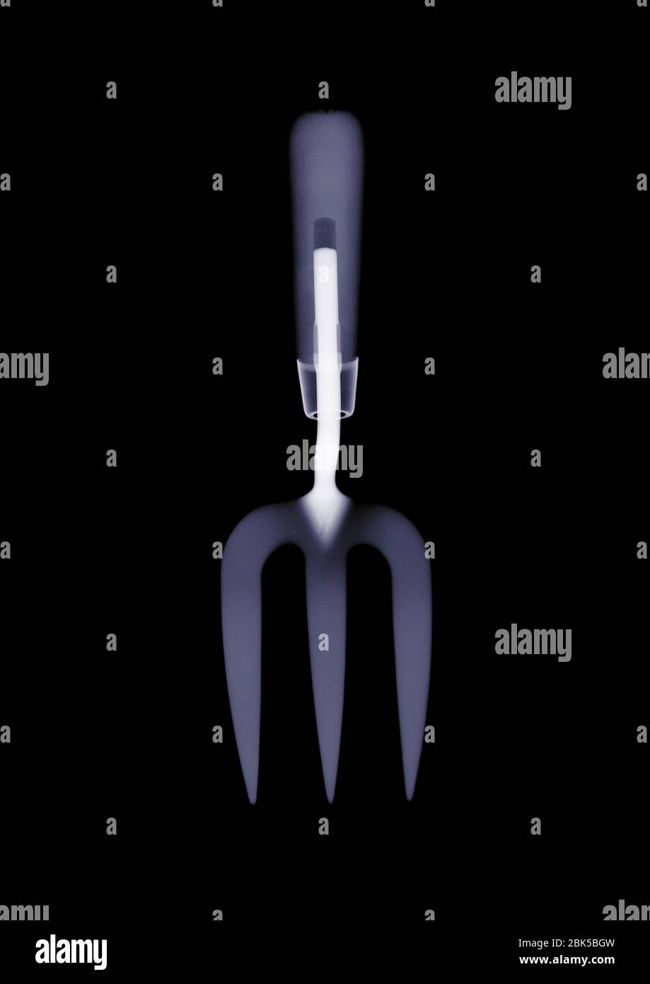 Gardening fork, X-ray Stock Photo - Alamy