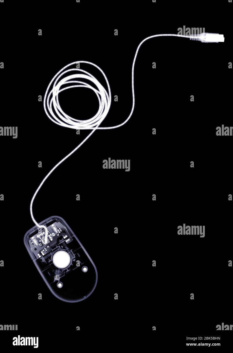 Xray computer mouse hi-res stock photography and images - Alamy
