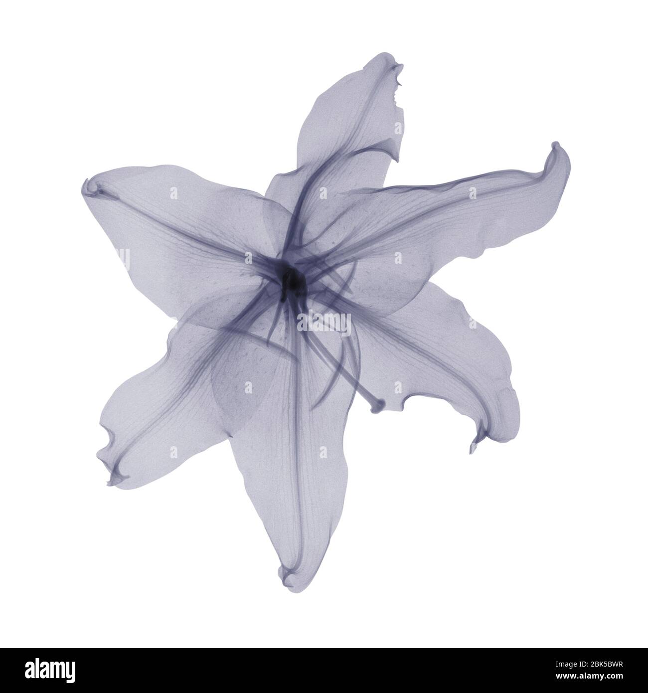 X ray center hi-res stock photography and images - Alamy