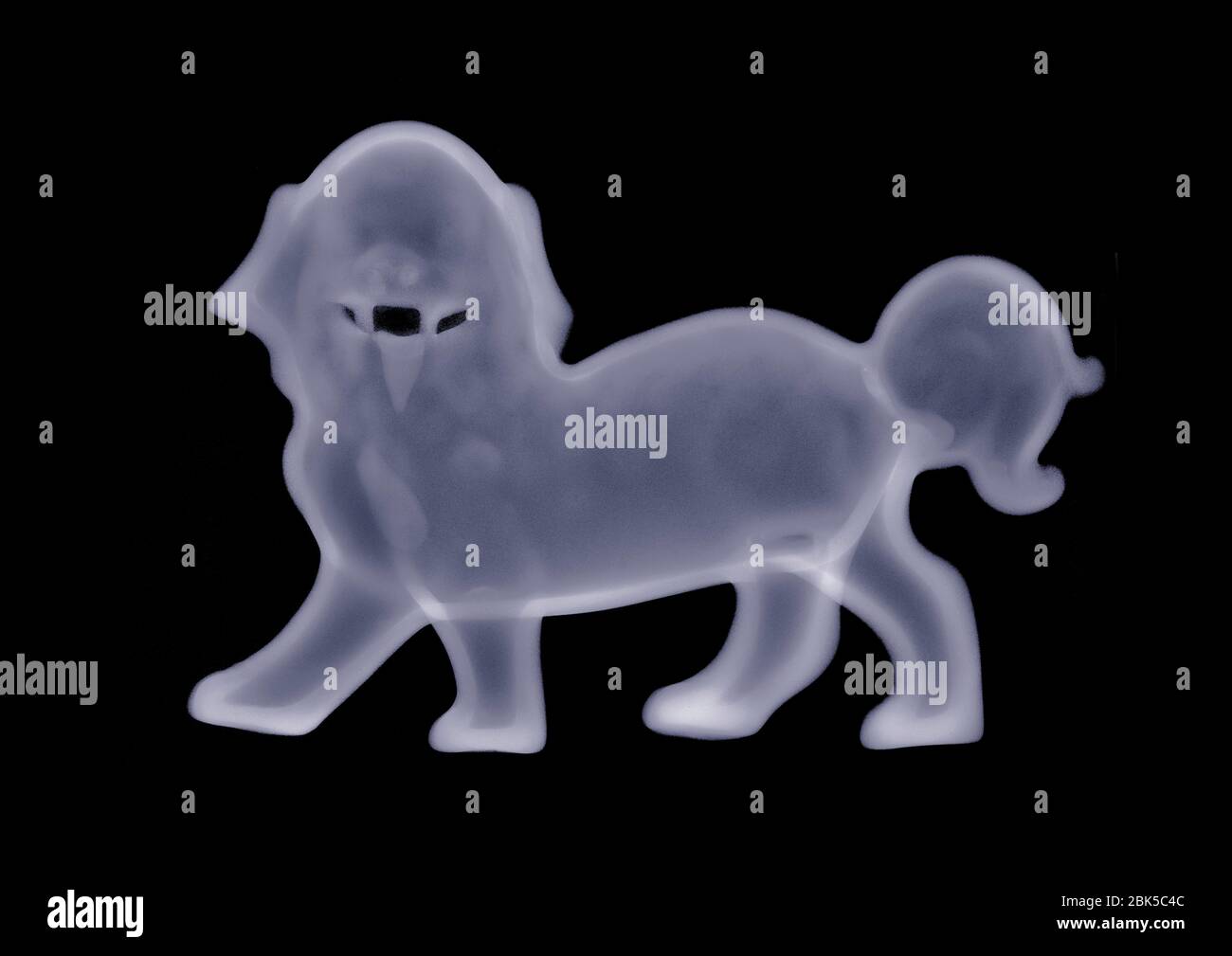 Dog x ray hi-res stock photography and images - Alamy