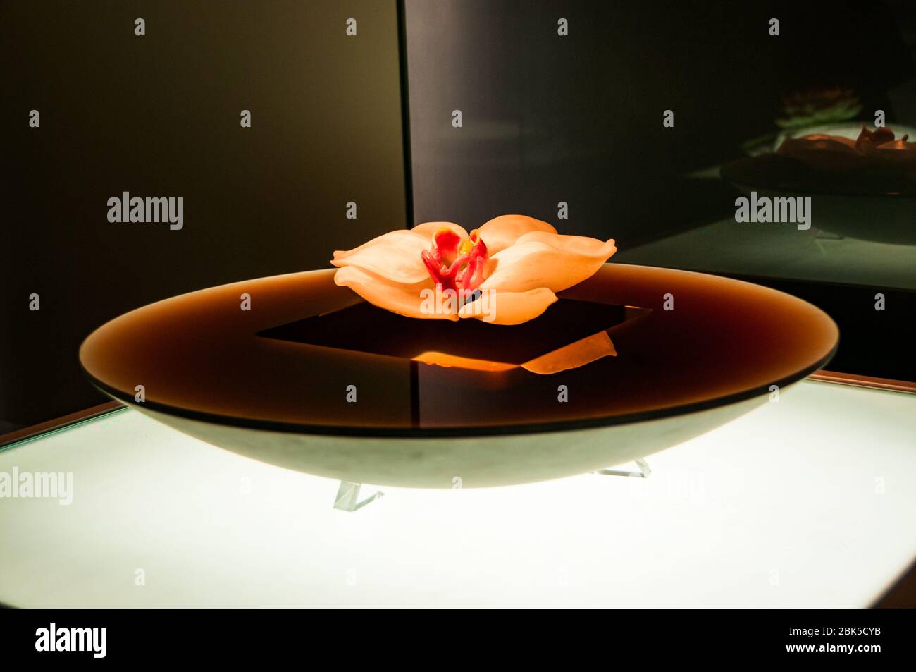 Loretta yang hi-res stock photography and images - Alamy