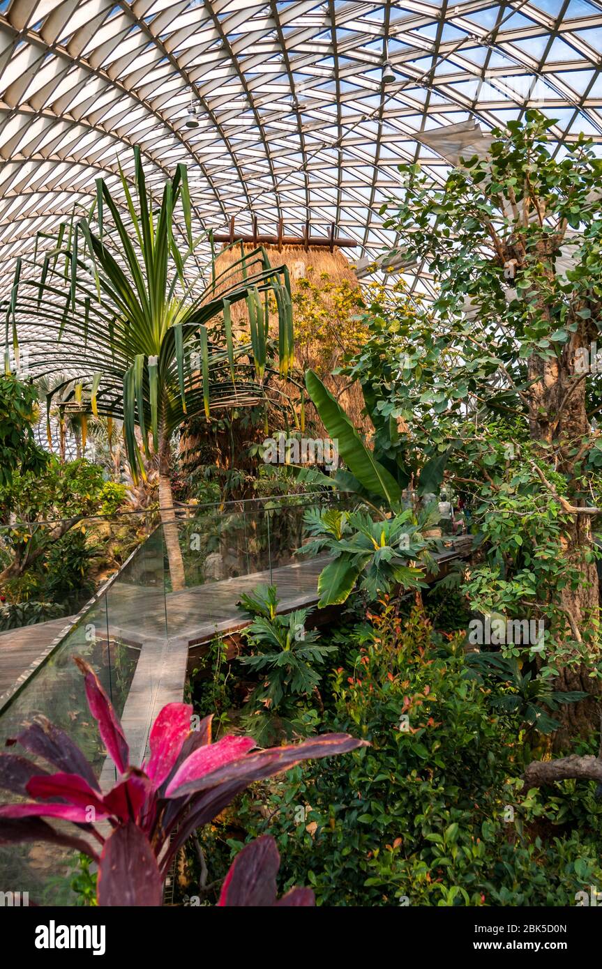 Inside the biome at the Chenshan Botanical Gardens in Songjiang ...