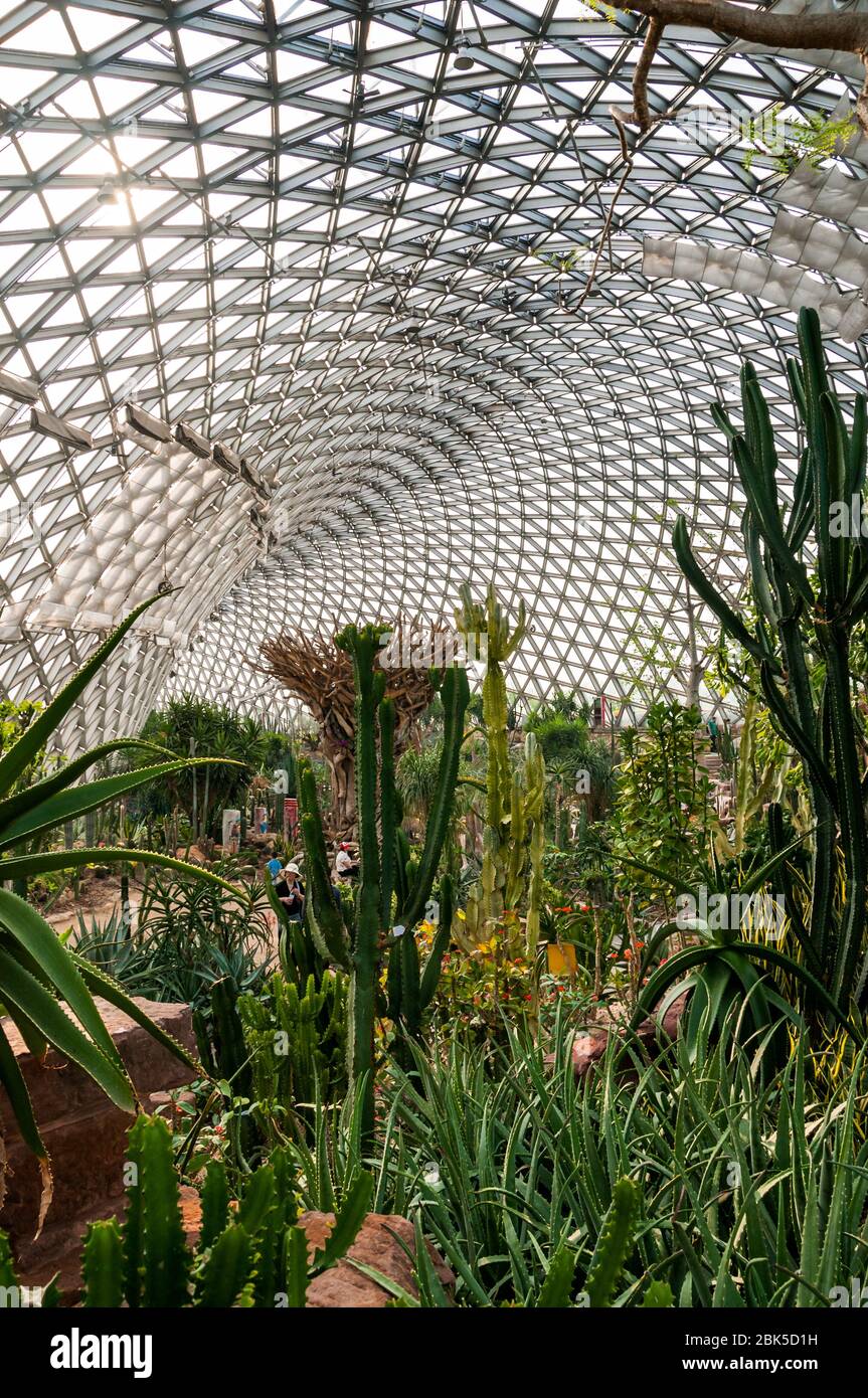 Chinese eden project hi-res stock photography and images - Alamy