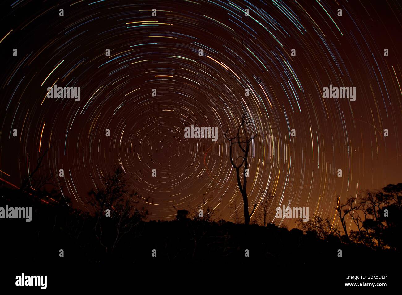 Stacked star trail at night in the Australian bush Stock Photo - Alamy