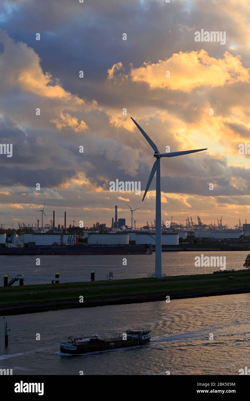Wind Turbine, Maasvlakte District, Rotterdam, Netherlands, Europe Stock ...